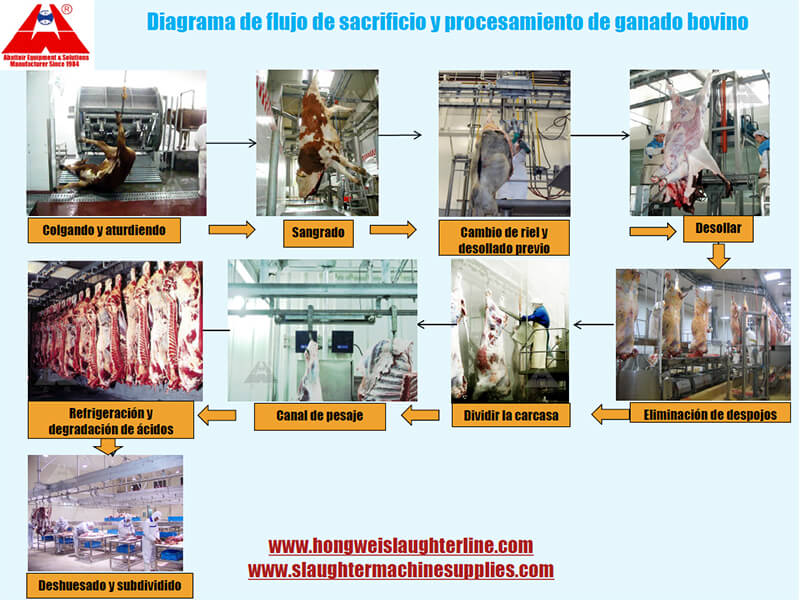 Cadena de grillete de pies de ganado bovino para la línea de equipos de ...